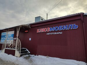 Bluesmobil (Myasokombinatskiy proyezd 1-ya liniya No:4А), oto ses sistemleri  Cheboksary'den