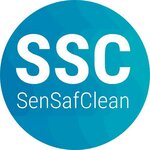 Senat (A. Nevskogo Street No:64), endüstriyel temizlik  Saransk'tan