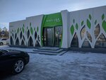 Kaz Flor (Qabanbaı Batyr dańǵyly No:5А), çiçekçiler  Astana'dan