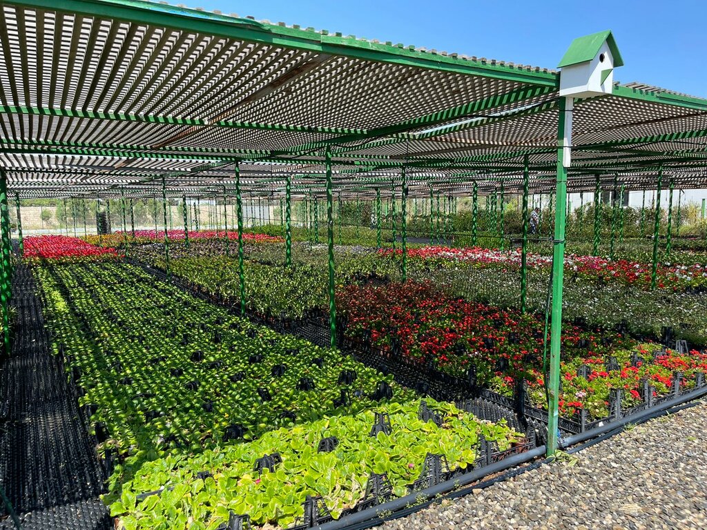 Peyzaj tasarımı Green Garden, Bakü, foto