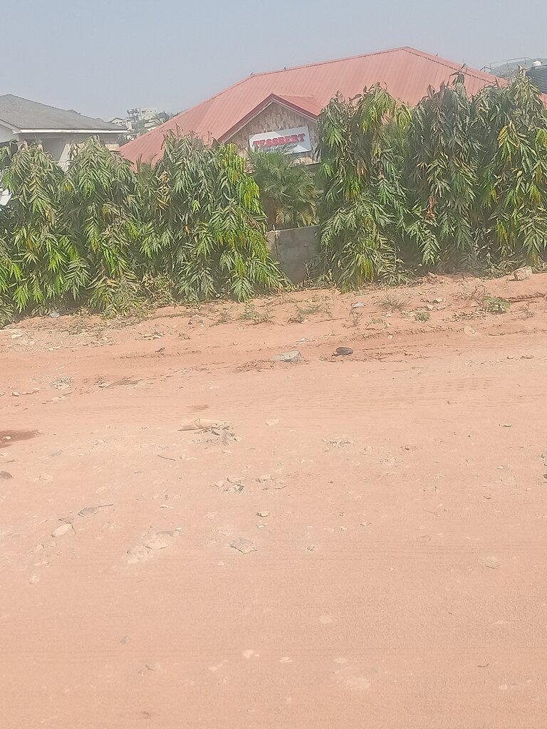 Restoran Tessbert, Dünya, foto