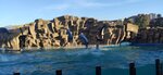 Batumi Dolphinarium (Shota Rustaveli Avenue No:51), turistik yerler  Batum'dan