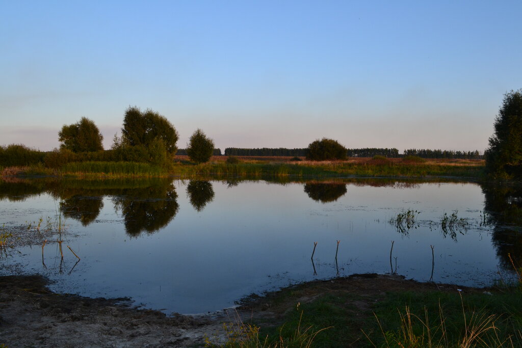 Plaj Пляж, Tambovskaya oblastı, foto