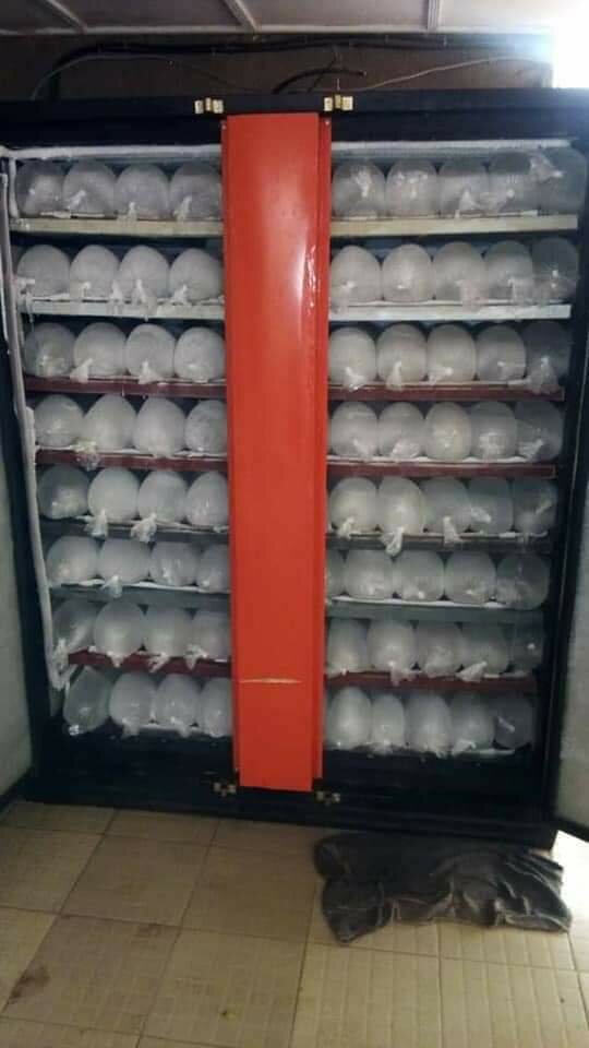 Otomobil servisi New Techno Froid Service, Uagadugu, foto