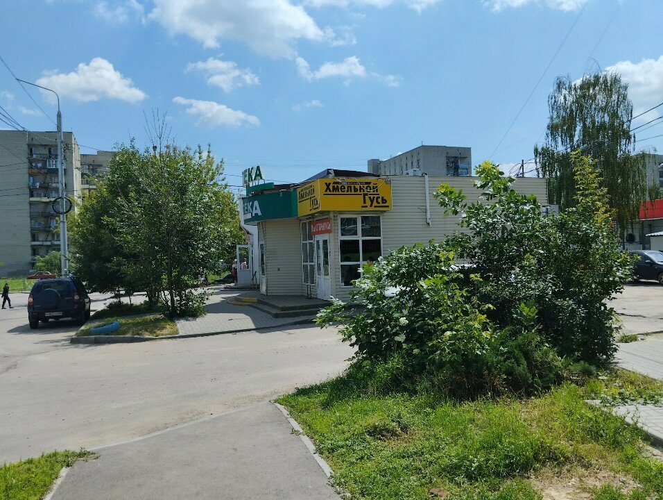 Bira dükkanı Хмельной гусь, Tambov, foto