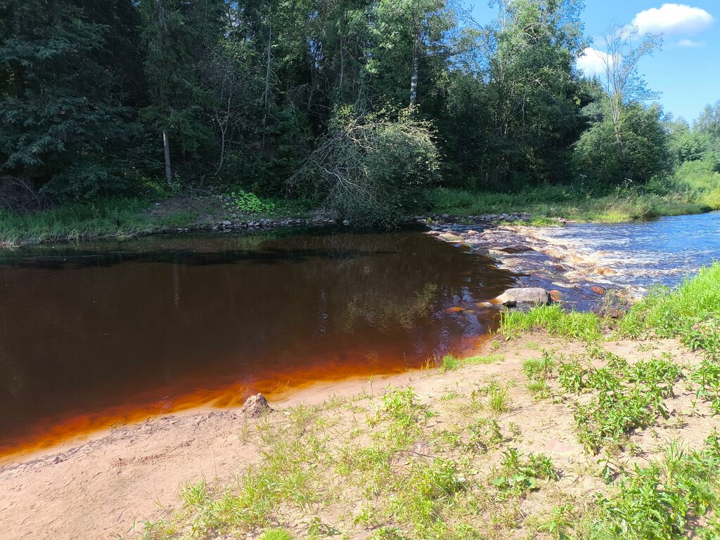 Plaj Пляж, Novgorodskaya oblastı, foto