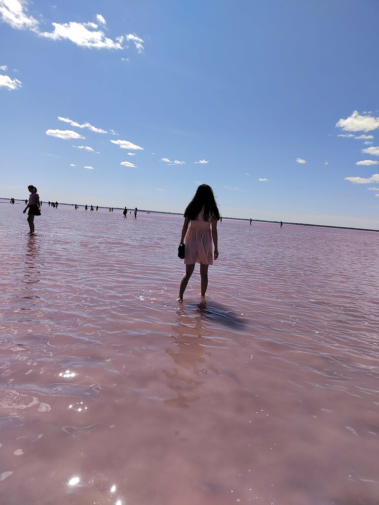 Doğa Розовое озеро, Altayski krayı, foto