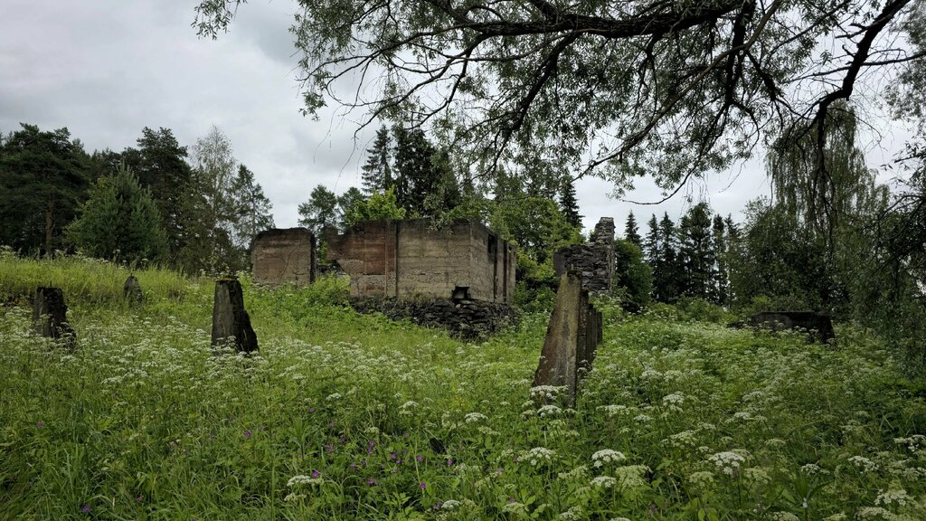 Turistik yerler Руины Восточно-карельского народного училища, Karelya, foto