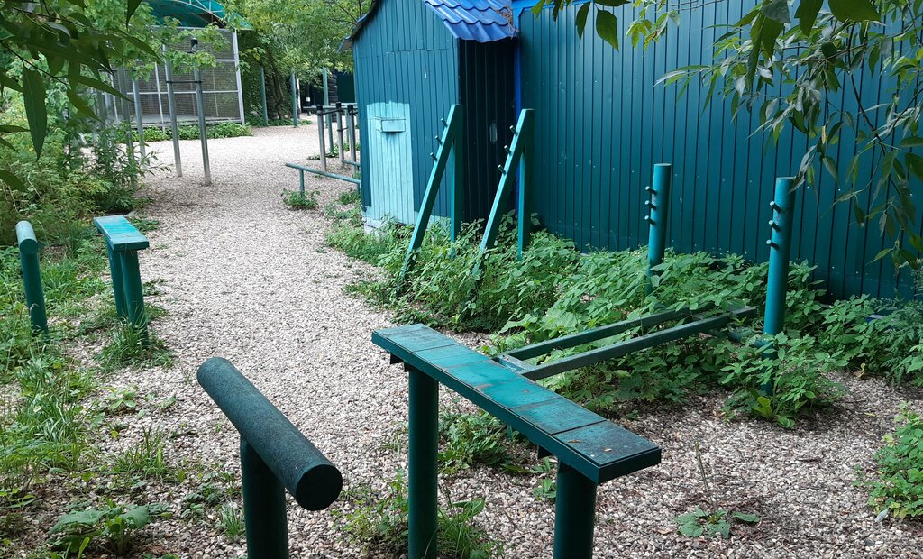 Spor alanı Sports ground, Moskova, foto