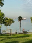 Florya Sahil (İstanbul, Bakırköy, Şenlikköy Mah.), festival  İstanbul'dan