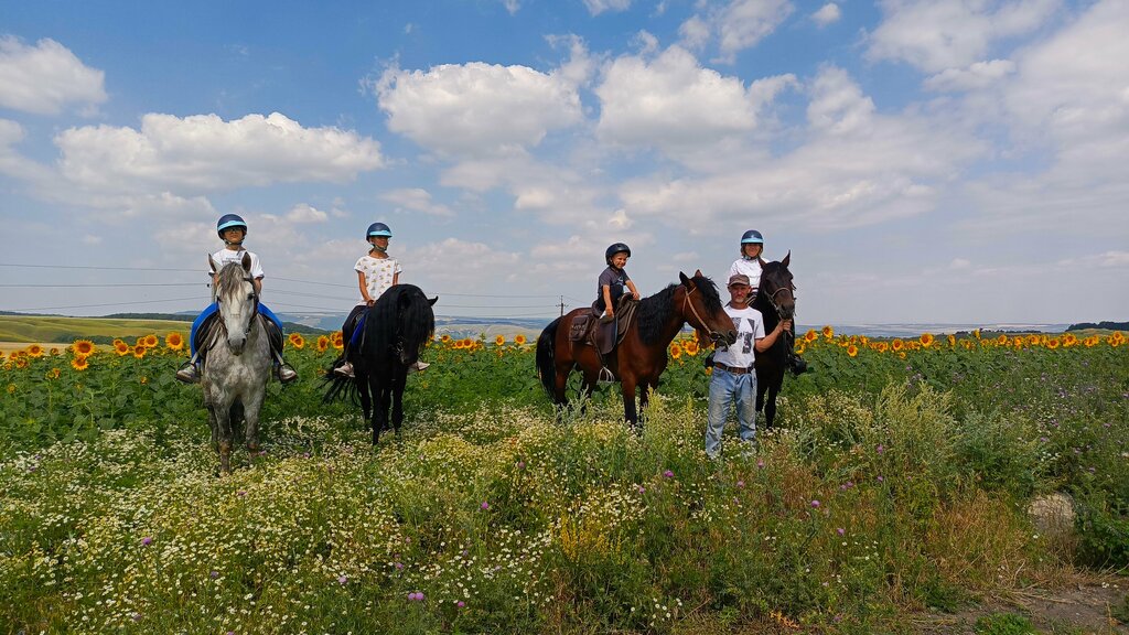 At ve binicilik kulüpleri Конные прогулки Байкул, Stavropolski krayı, foto