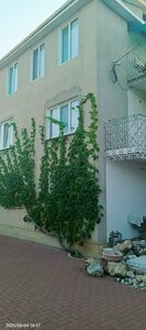 Гостиница (Курская улица No:38, село Береговое), otel  Kırım Cumhuriyeti'nden