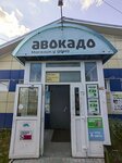 Avokado (Shkolnaya Street No:26), market  Yoshkar‑Ola'dan