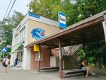 Поплавок (Frunze Street No:40А), balıkçılık ekipman firmaları  Tuapse'den