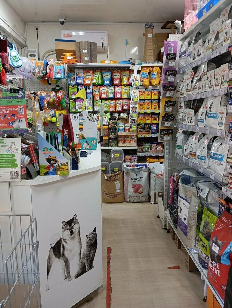 Petshop Любимец, Canköy, foto