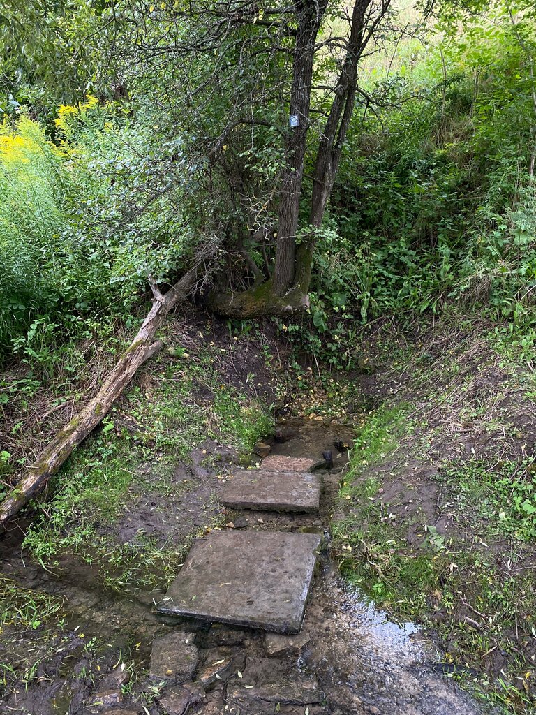 Pınar, çay Spring, stream, Orlovskaya oblastı, foto