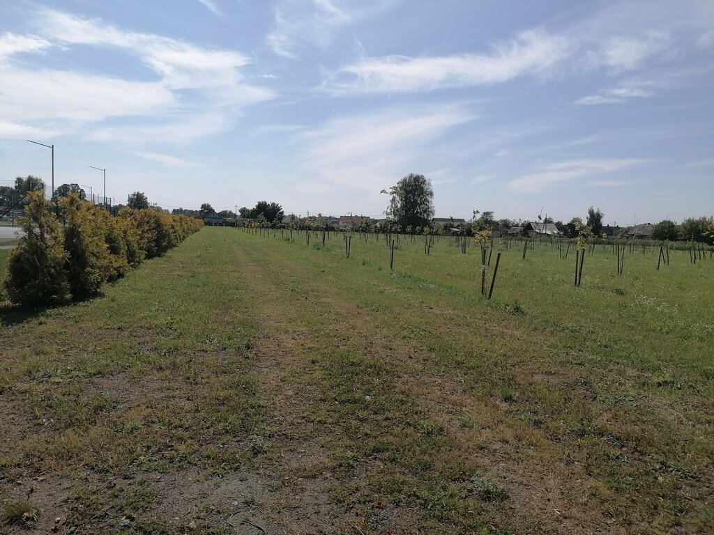 Turistik yerler Здание спиртзавода, Gomelskaya oblastı, foto