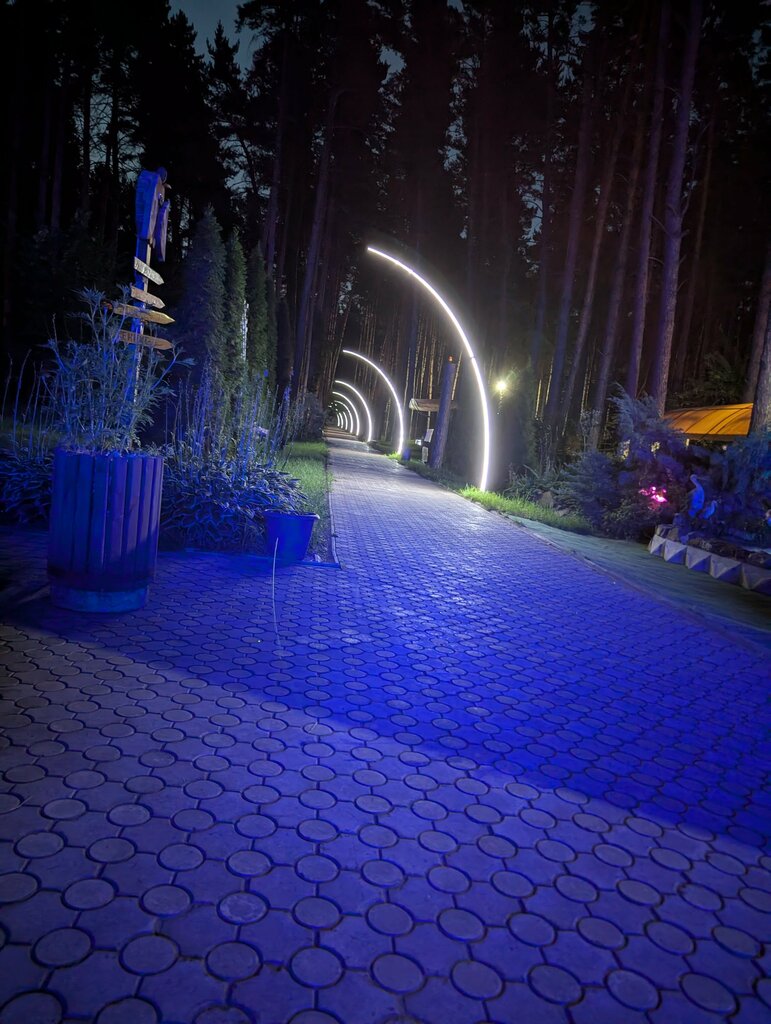 Tatil köyleri Сосновый бор, Volgogradskaya oblastı, foto