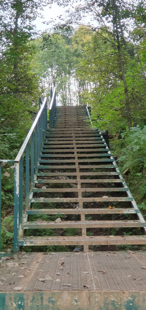 Pınar, çay Spring, stream, Saint‑Petersburg ve Leningradskaya oblastı, foto