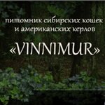 VinniMur (Metallistov Avenue No:15), evcil hayvan yetiştiricileri  Saint‑Petersburg'dan