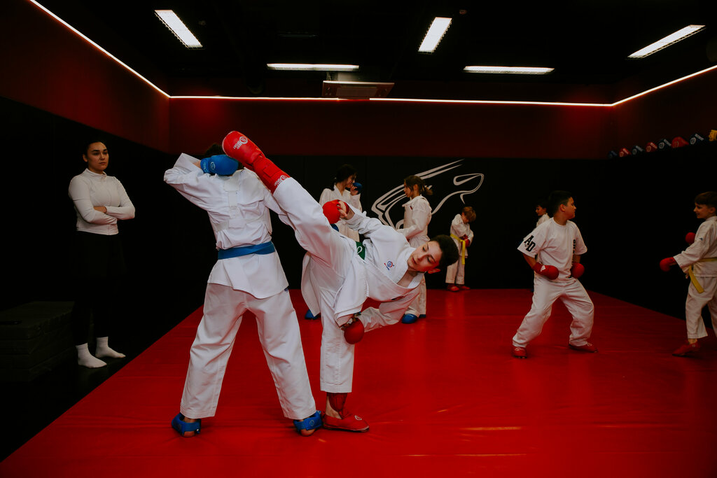 Spor kulüpleri Centr Vado, Moskova, foto