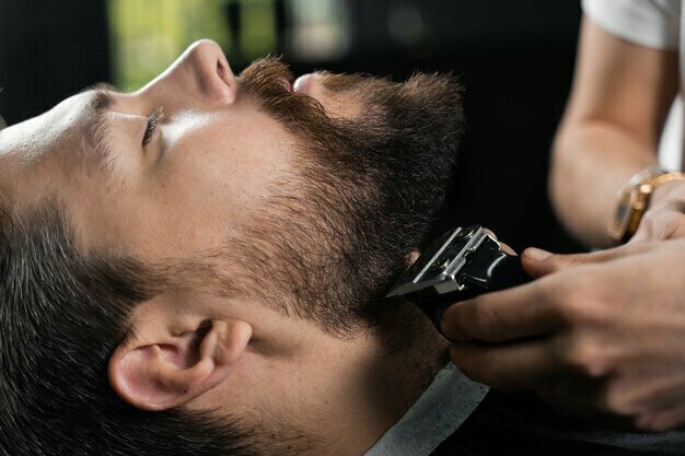 Berberler Nord, Moskova ve Moskovskaya oblastı, foto