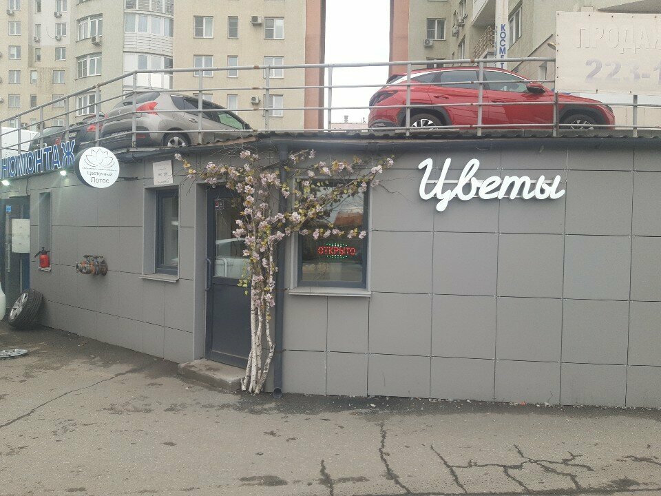 Çiçekçiler Цветочный лотос, Çeliabinsk, foto