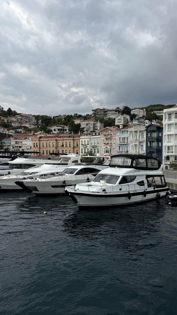 Restoran Arnavutkoy Bebek Sahil, İstanbul, foto