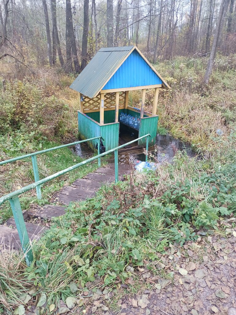 Pınar, çay Spring, stream, Gomelskaya oblastı, foto