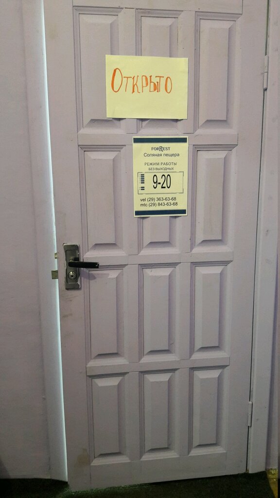 Tuz mağarası Forrest, Minsk, foto