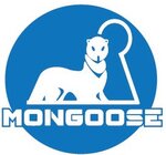 Mir zamkov mongoose (vulytsia Raievskoi No:19), anahtar ve kapı üreticileri  Harkiv'den