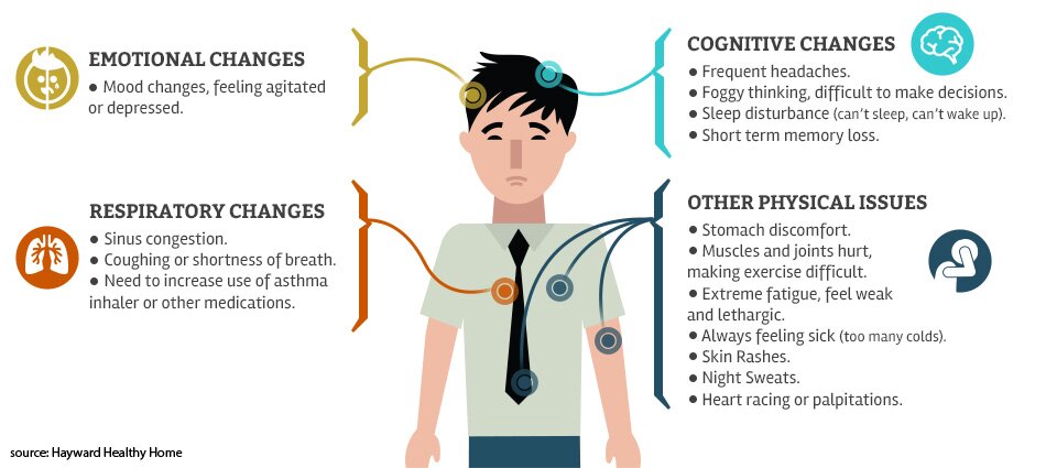 i̇nşaat tedarik firmaları Az Mold Pro's, Arizona Eyaleti, foto