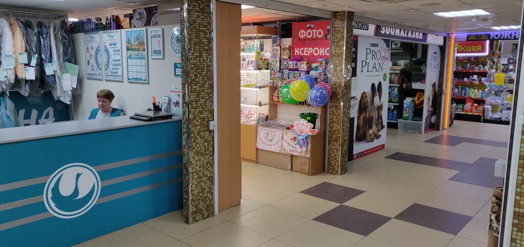 Fotoğraf hizmetleri Sistemnik, Moskova, foto