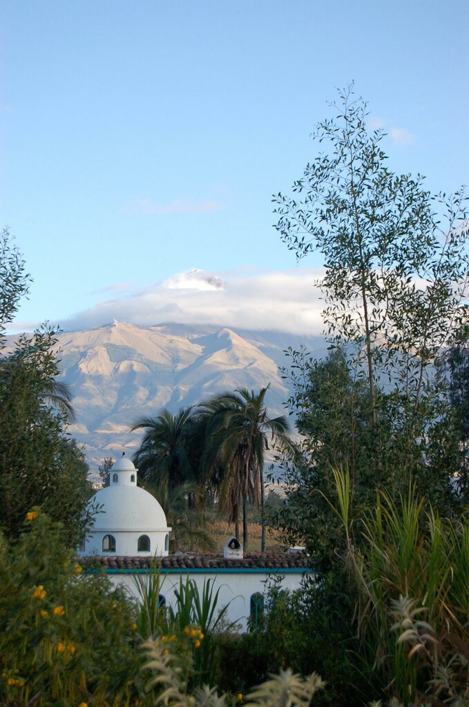 Otel Las Palmeras Inn, , foto
