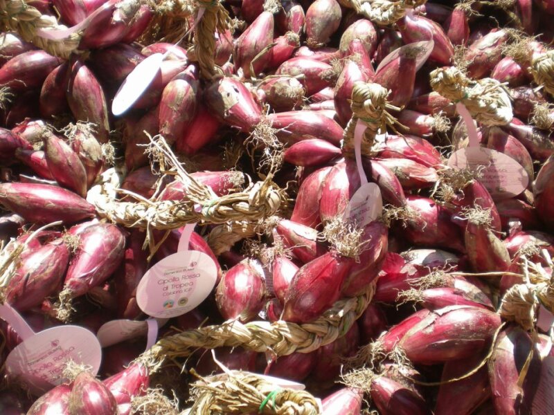 Tarım ürünleri firmaları Azienda Agricola Cipolla Rossa di Tropea “Russo”, Calabria, foto