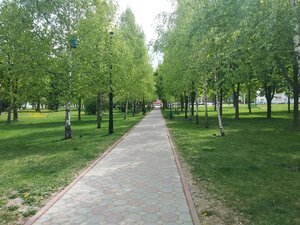 Maladazhonaw Alley (Tashkienckaja Street No:16к2), meydan  Minsk'ten