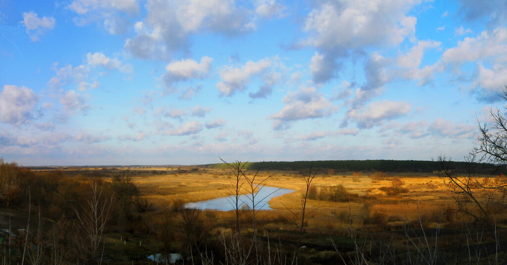 Kültür merkezleri Замковая гора, Brianskaya oblastı, foto