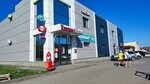 Кактус (Sapfirnaya ulitsa No:60А/1), hediyelik eşya mağazaları  Barnaul'dan