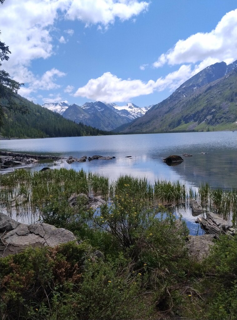 Resort oteller, tesisler В Гагарке, Altay Cumhuriyeti, foto