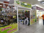 Зелёный остров (Pobedy Avenue No:325), bahçecilik mağazaları  Çeliabinsk'ten