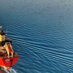 Vega Shipping (İstanbul, Beşiktaş, Ülgen Sok., 52), kargo firmaları  İstanbul'dan
