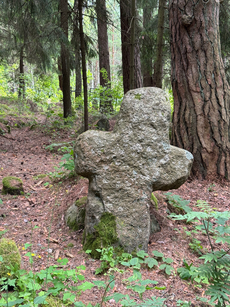 Turistik yerler Каменные кресты, Vitebskaya oblastı, foto
