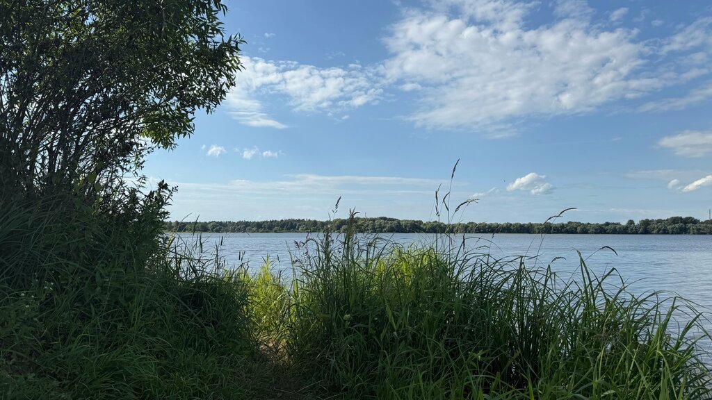 Plaj Beach, Moskova ve Moskovskaya oblastı, foto