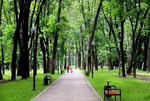 Баковское (Moscow Region, Odintsovo, Bakovskoye kladbishche), mezarlıklar  Odintsovo'dan