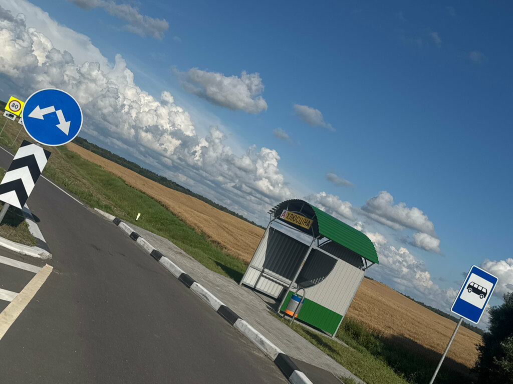 Toplu taşıma durağı Hliuscina, Vitebskaya oblastı, foto