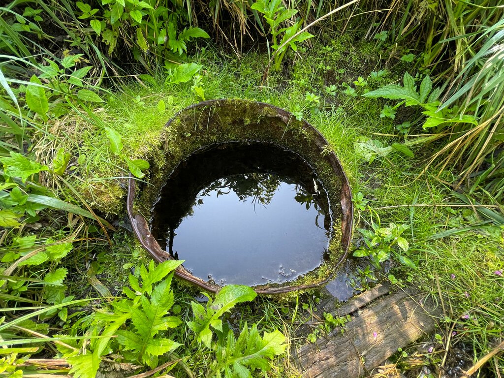 Pınar, çay Spring, stream, Moskova ve Moskovskaya oblastı, foto