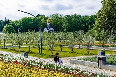 Kültür ve eğlence parkları Michurinskiy Orchard, Moskova, foto