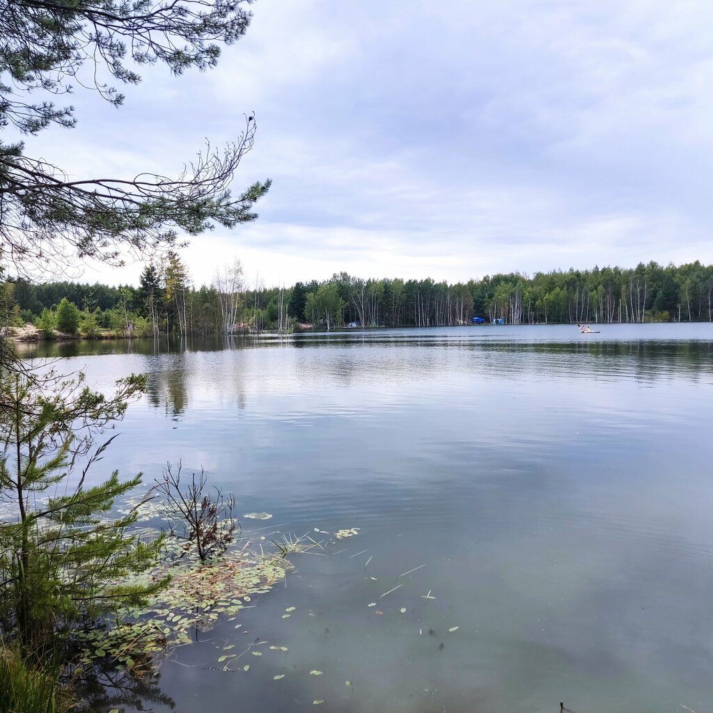Plaj Пляж, Moskova ve Moskovskaya oblastı, foto
