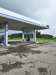 Gazpromneft (ulitsa Lenina No:135, selo Tselinnoye), benzin istasyonu  Altayski krayından