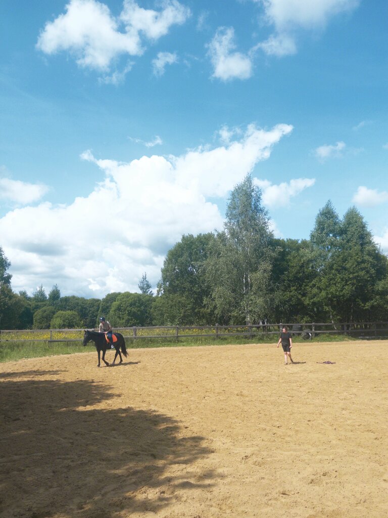 At ve binicilik kulüpleri Yasno Pole, Tulskaya oblastı, foto
